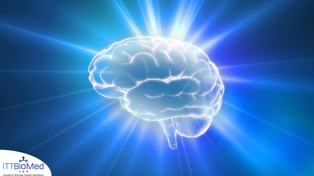 Brain-to-brain synchrony: unlocking the secrets of cooperation - ITTBioMed